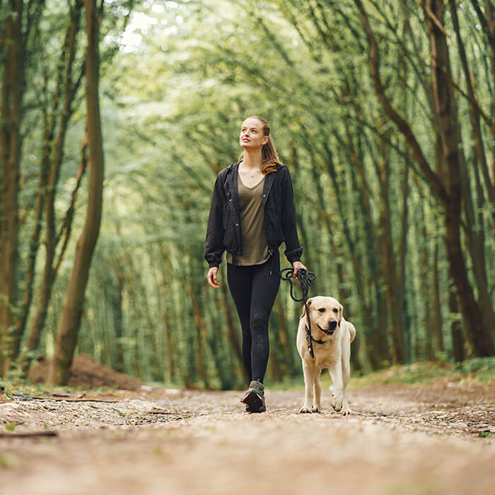 Leefbaarheid & Social Design | BSB Advies